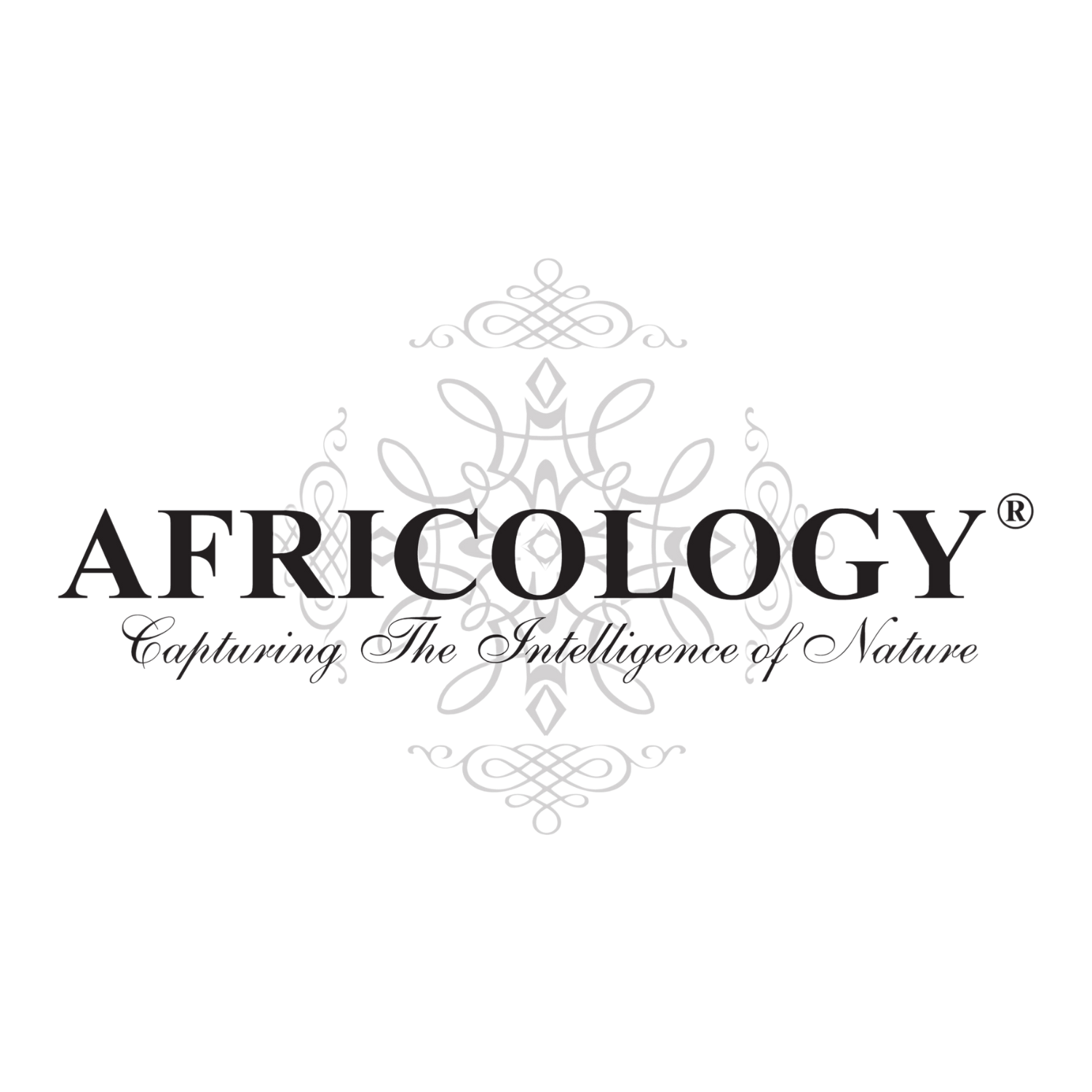 Bob Box - The ultimate pickup - Bob Box